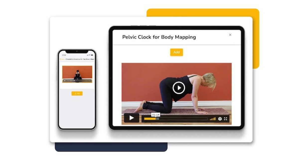 Boost Your Practice with Pelvic Health Features on Embodia | Embodia