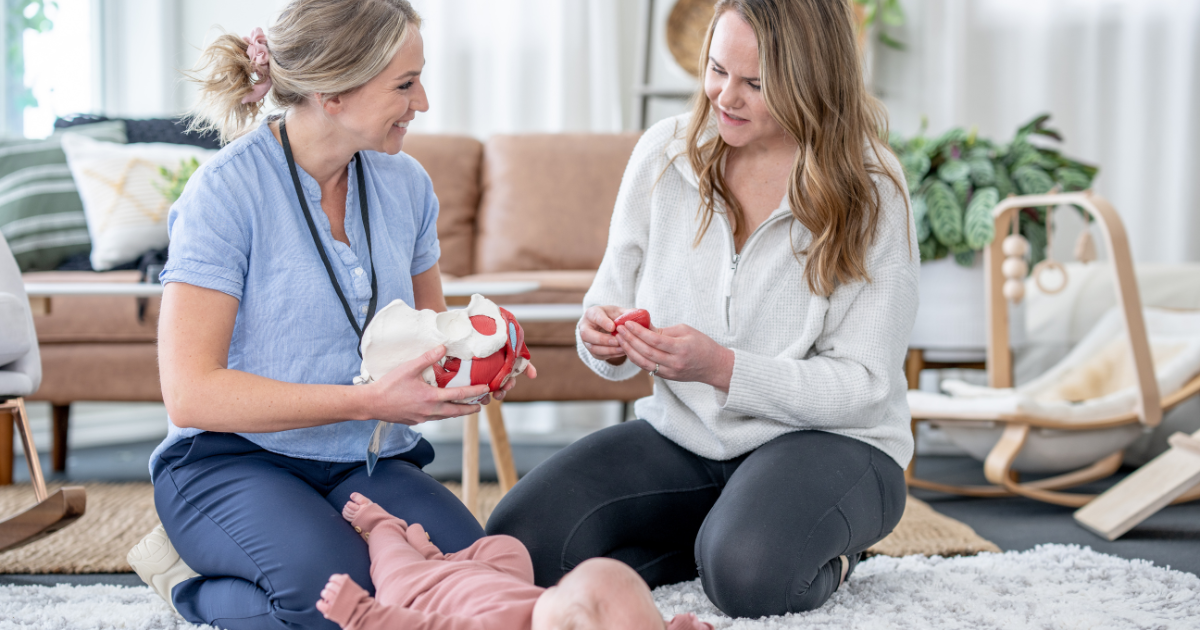 Top 10 Pelvic Health Practitioner Resources on Embodia | Embodia