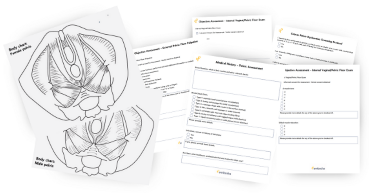 Resource Blog: Free Templates for Pelvic Health | Embodia